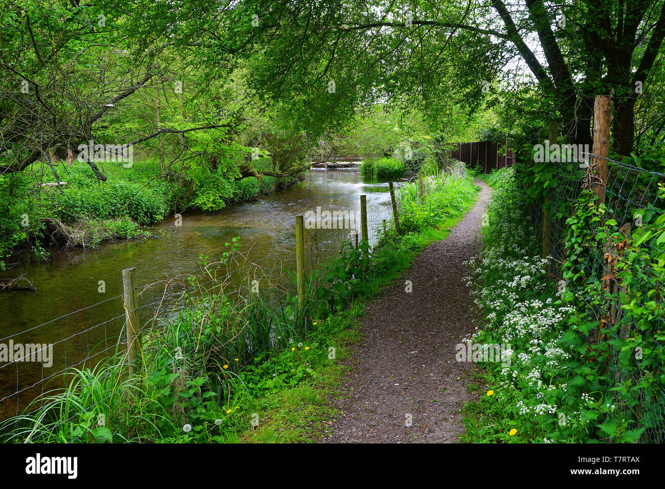 Path foorpath hi-res stock photography and images - Alamy