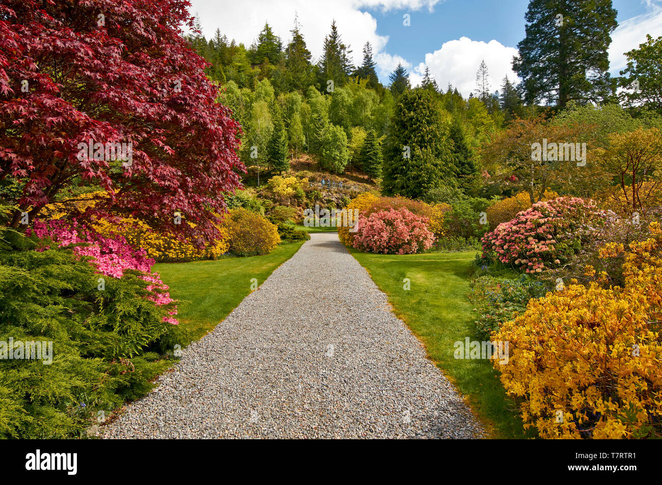 Attadale gardens hi-res stock photography and images - Alamy