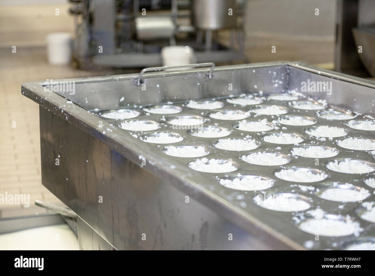 Food industry. Fermentation of the cheese in a stainless steel tank ...