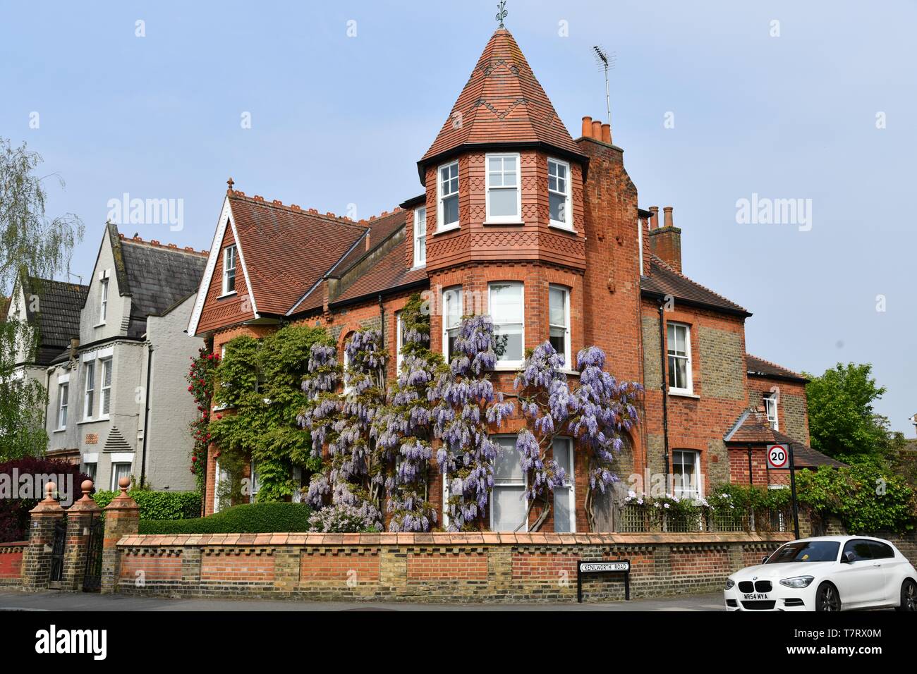 wisteria, genus flower of the legume family Stock Photo - Alamy