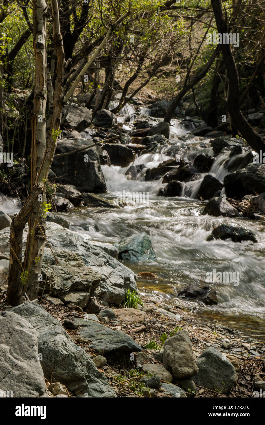 darakeh river, in the mountains of tehran Stock Photo - Alamy