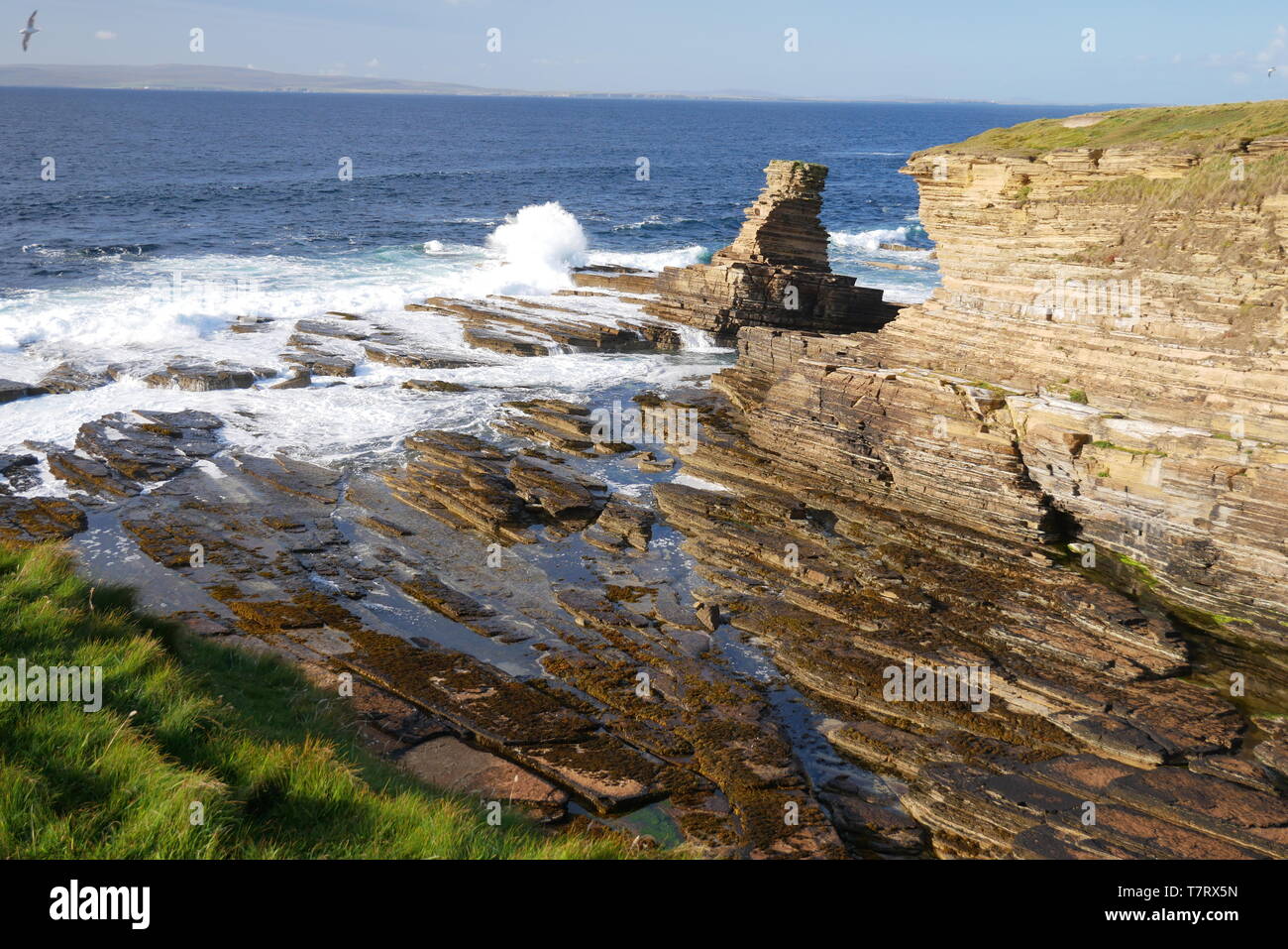 The Tower o' Men of Mey in Caithness, Scotland, UK - Mey Flagstone ...