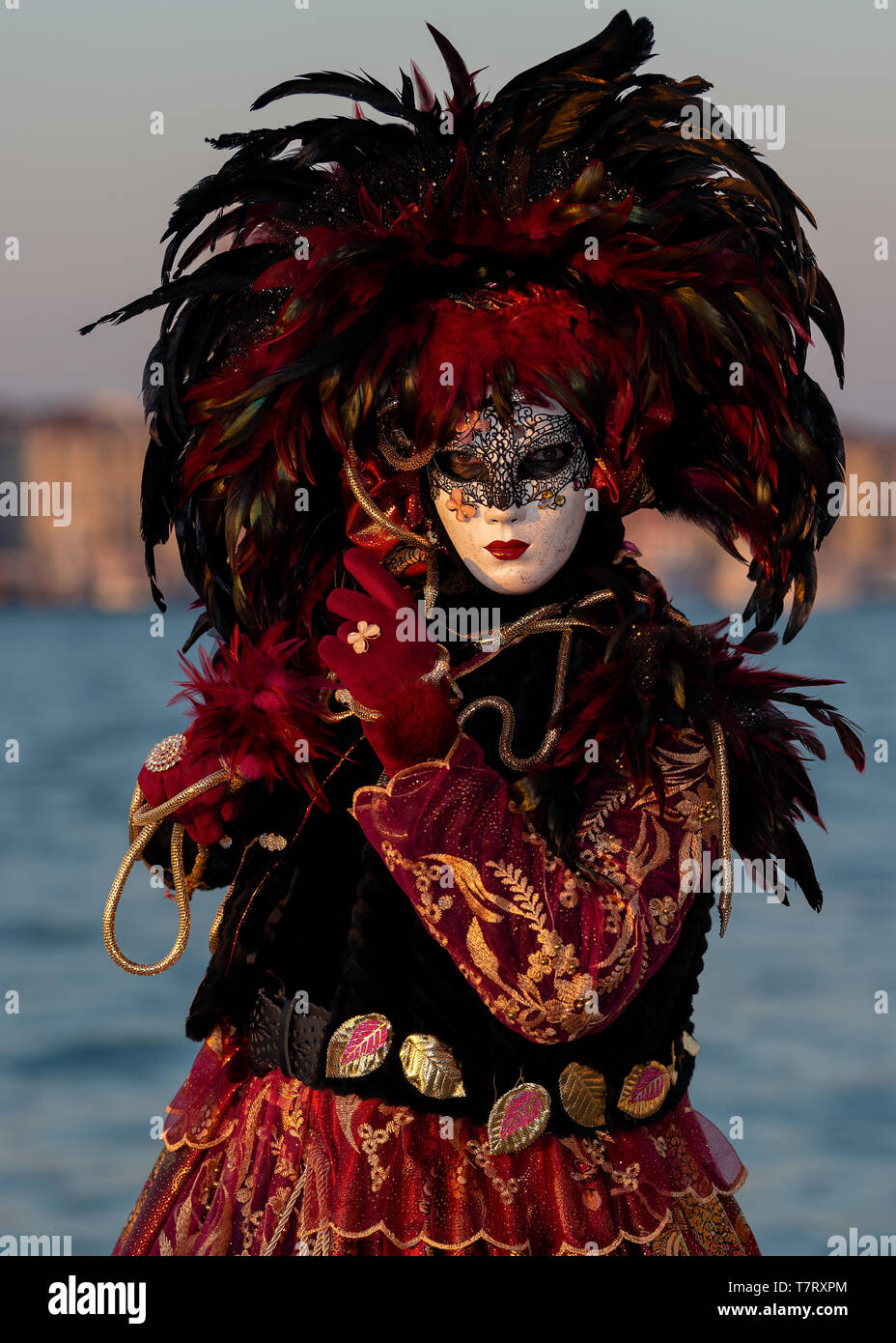 Reveller In Traditional Elaborate Mask And Costume At Venice Carnival ...