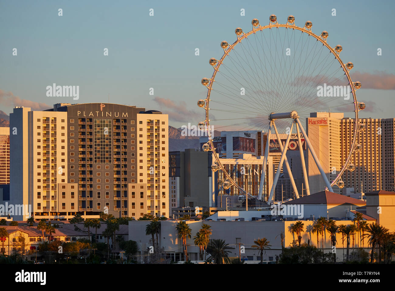 Caesars Palace Las Vegas Ferris Wheel
