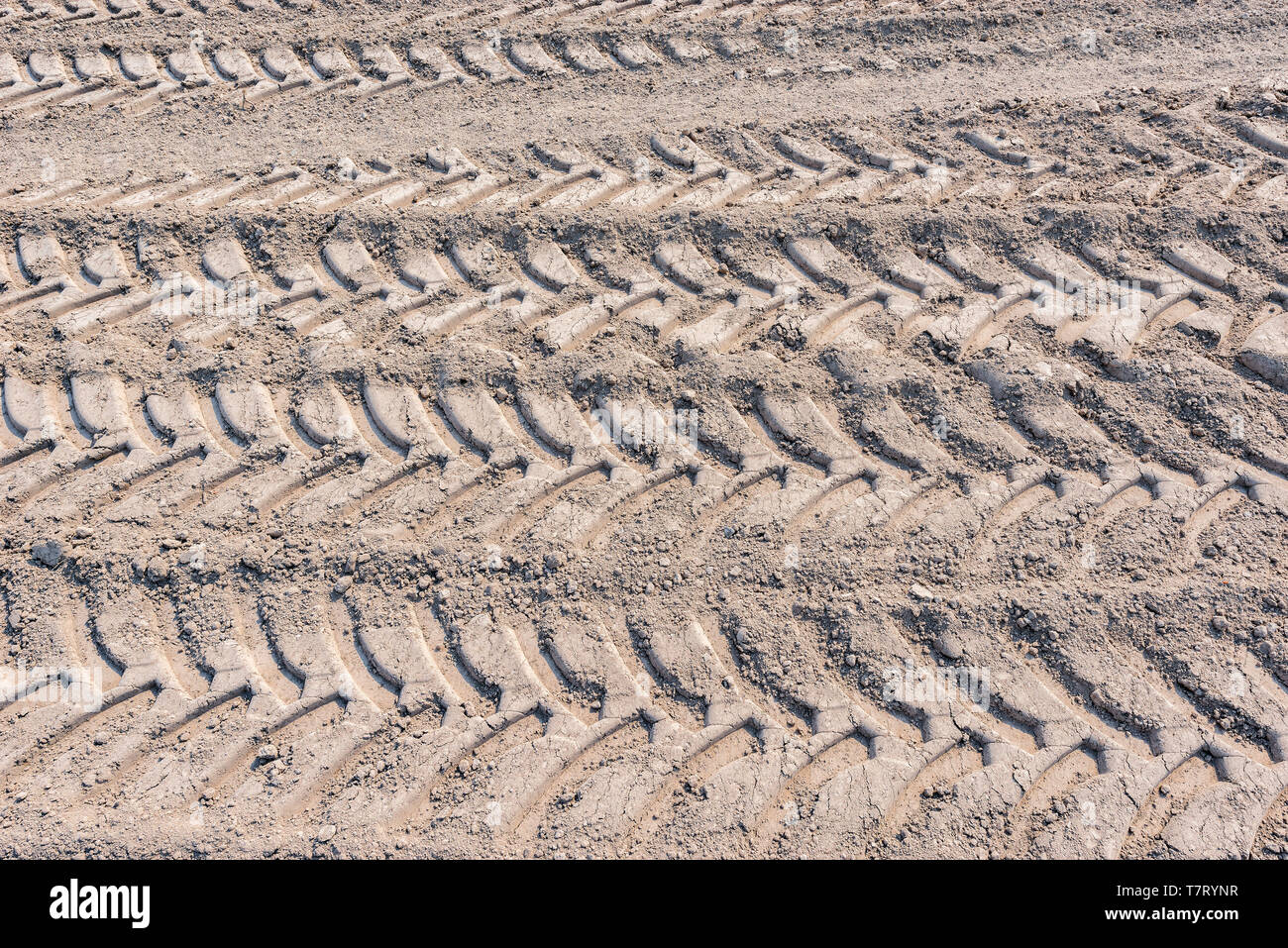 Tire tracks on the dry field at day time Stock Photo - Alamy