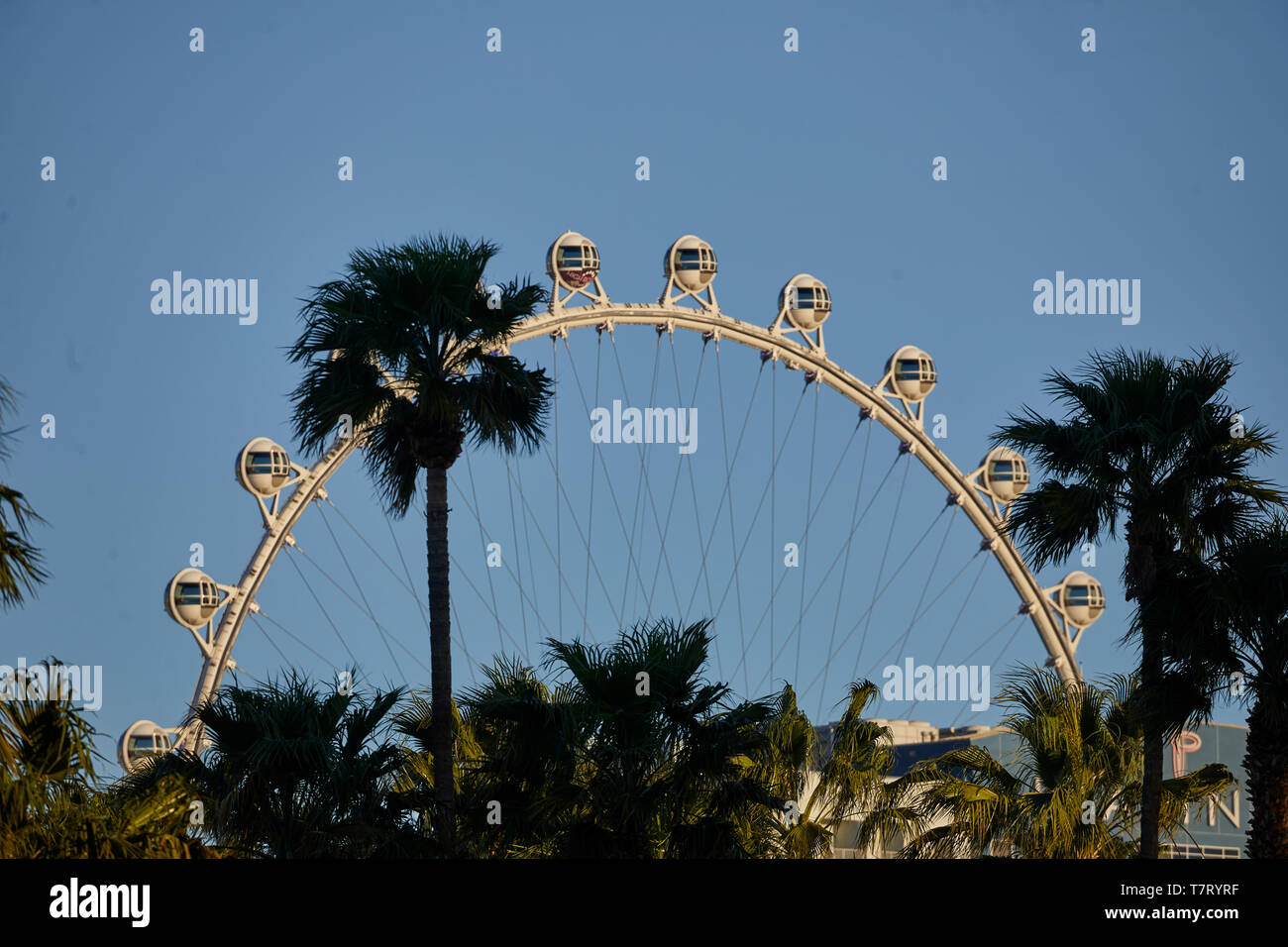 Las Vegas Nevada USA, skyline of the strip, High Roller 550-foot tall ...