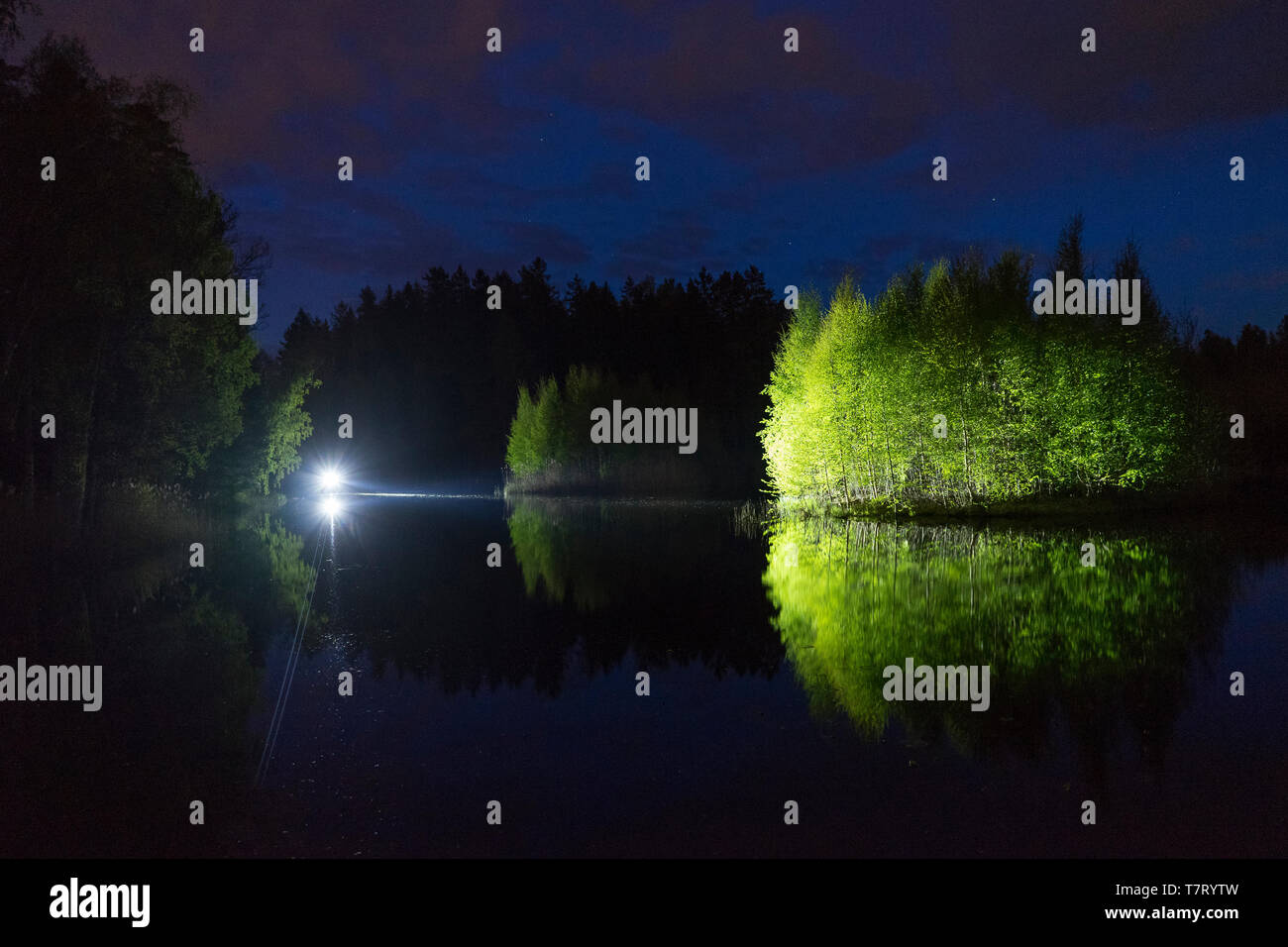 Flashlight shining wood hi-res stock photography and images - Alamy