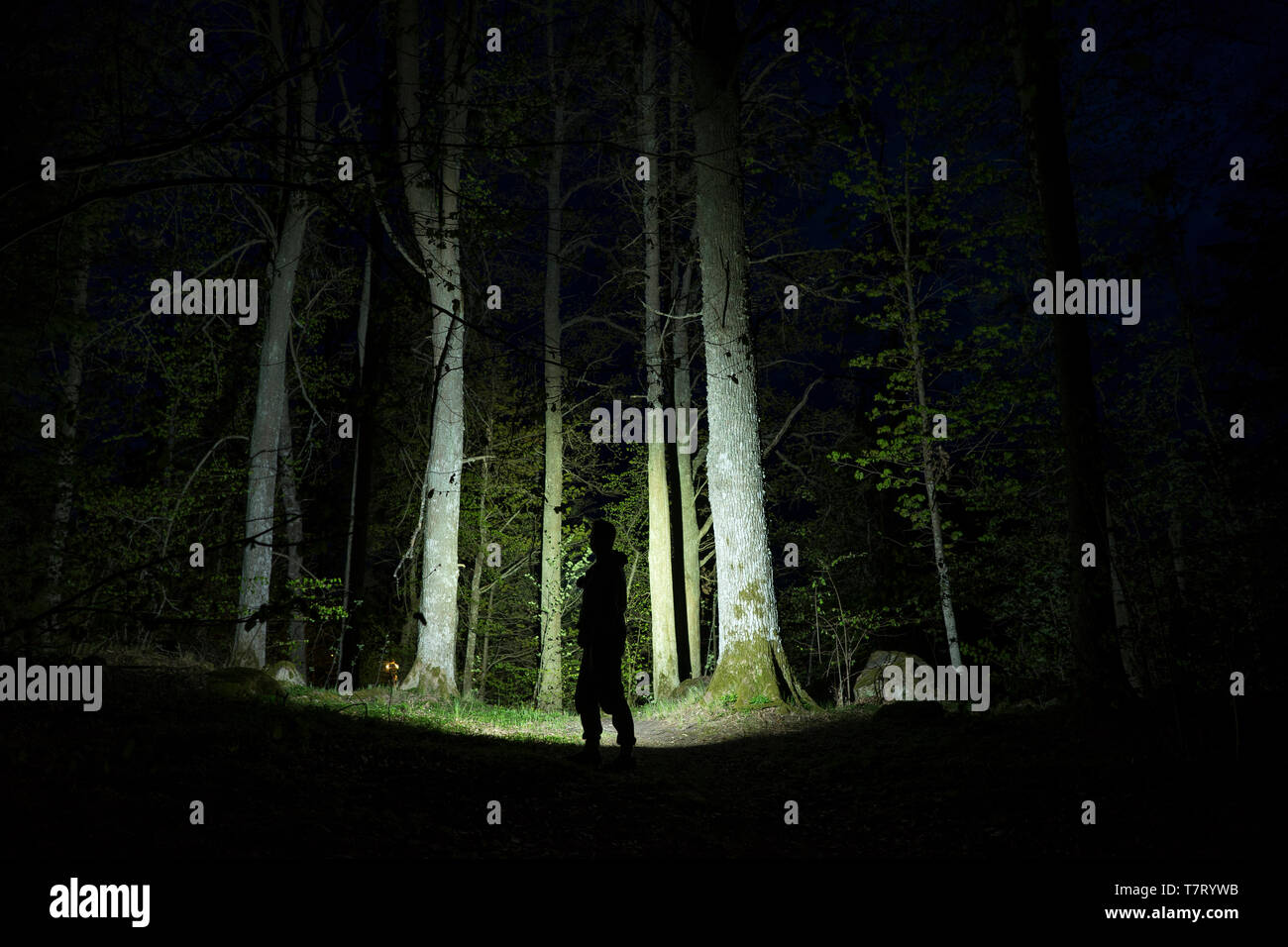 Man standing outdoor at dark night shining with flashlight. Mystical ...
