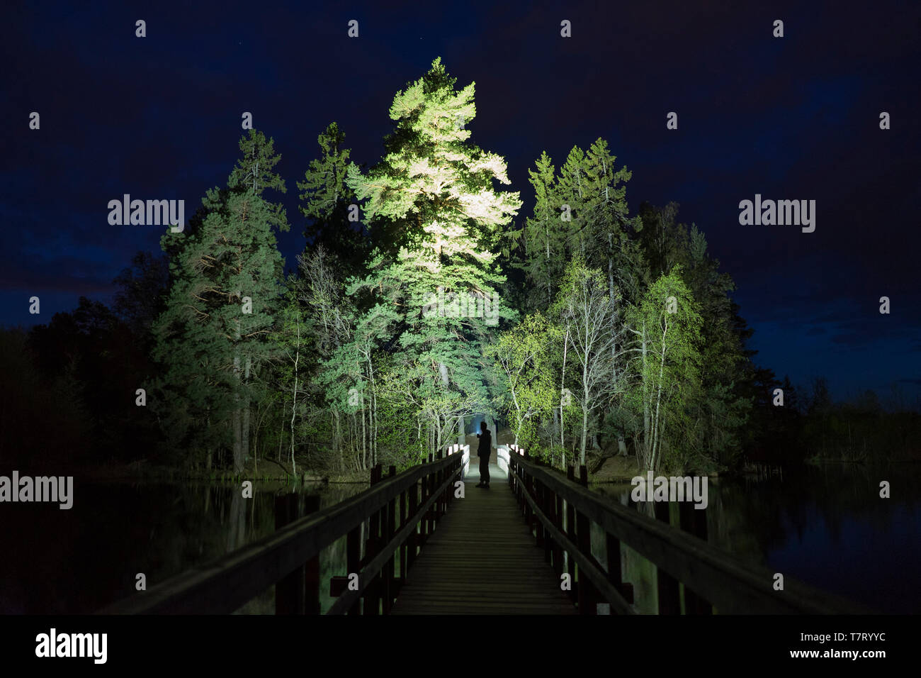 Man standing outdoor at dark night shining with flashlight. Mystical ...