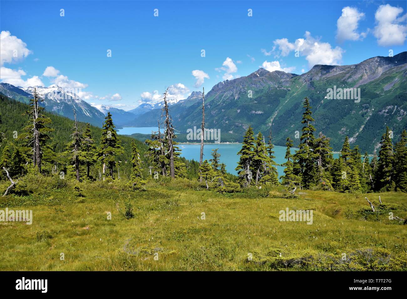 Various scenes from Alaska Stock Photo - Alamy