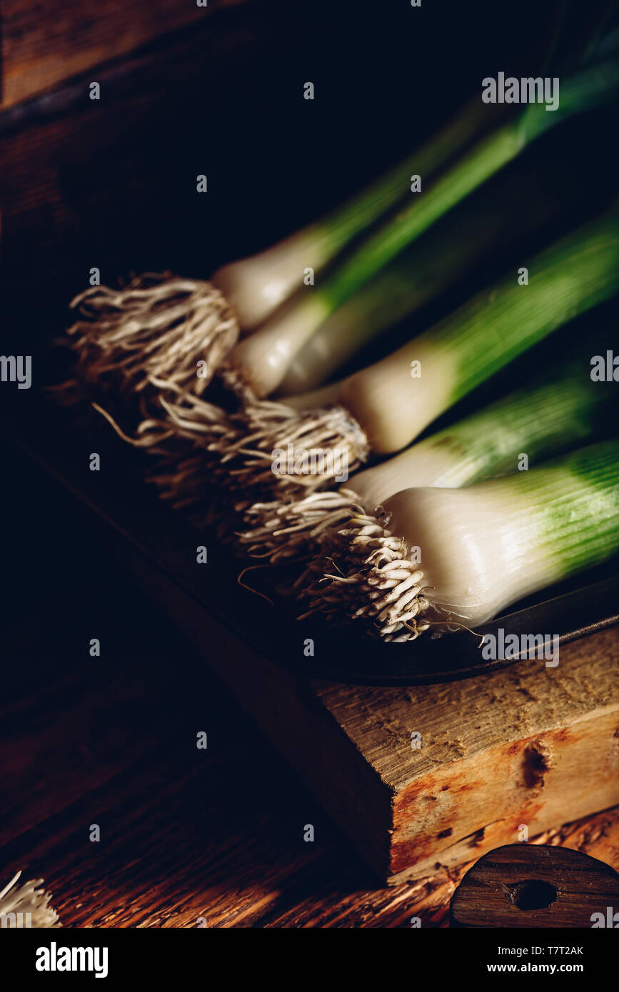 Fresh green leek on rustic metal tray Stock Photo - Alamy