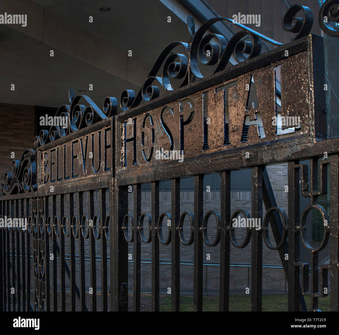 Bellevue hospital hi-res stock photography and images - Alamy