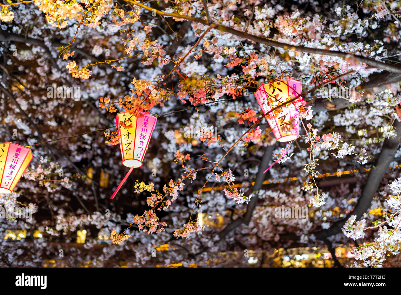 Tokyo, Japan - March 31, 2019: Closeup of pink paper lanterns glowing ...