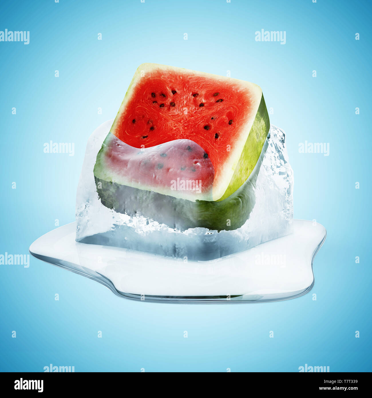 Sliced Cube Watermelon in Melting Ice Cube on blue gradient background ...