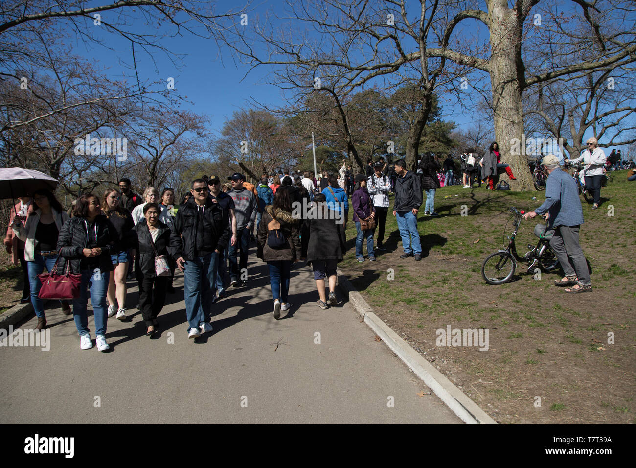 Family walking through parking lot hi-res stock photography and images ...