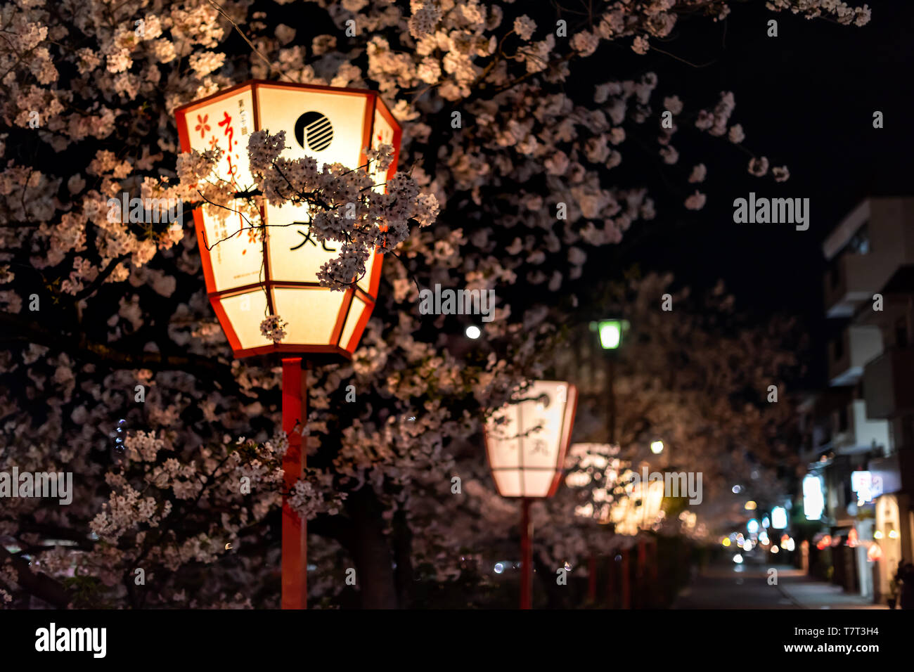 Hanami Festival Stock Photos & Hanami Festival Stock Images - Alamy