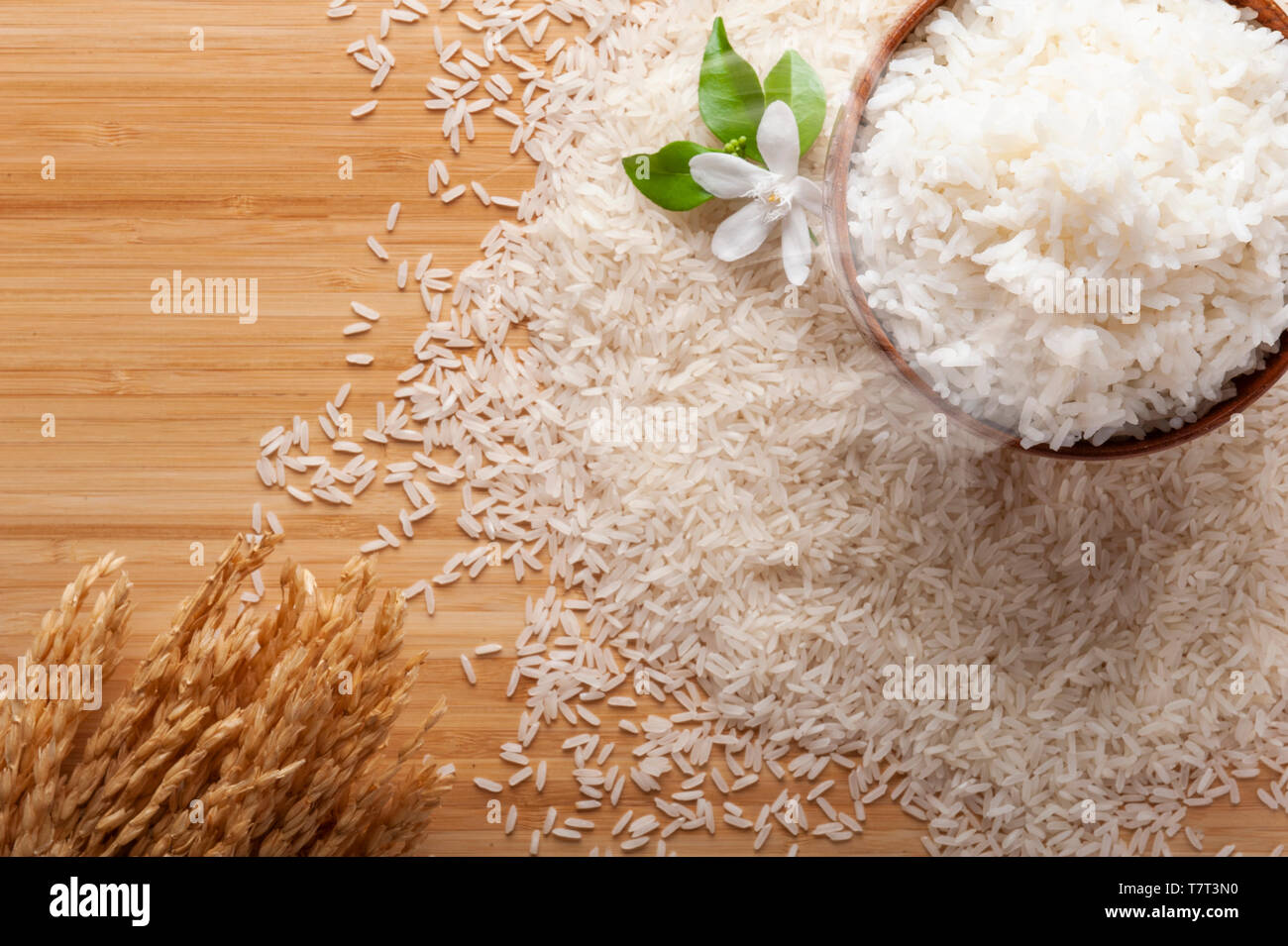 Seed plant scatter hi-res stock photography and images - Alamy