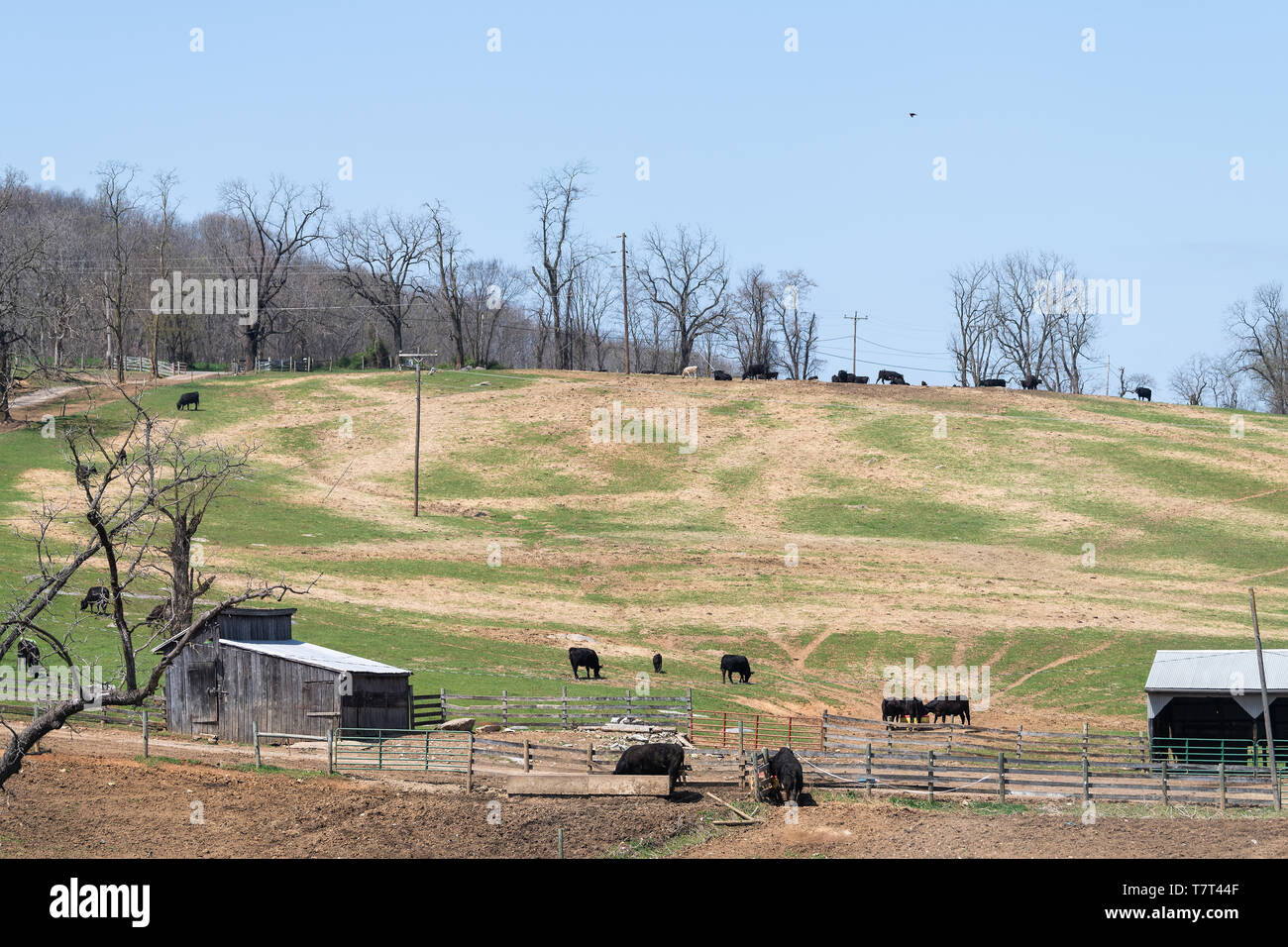 Staunton farm hi-res stock photography and images - Alamy