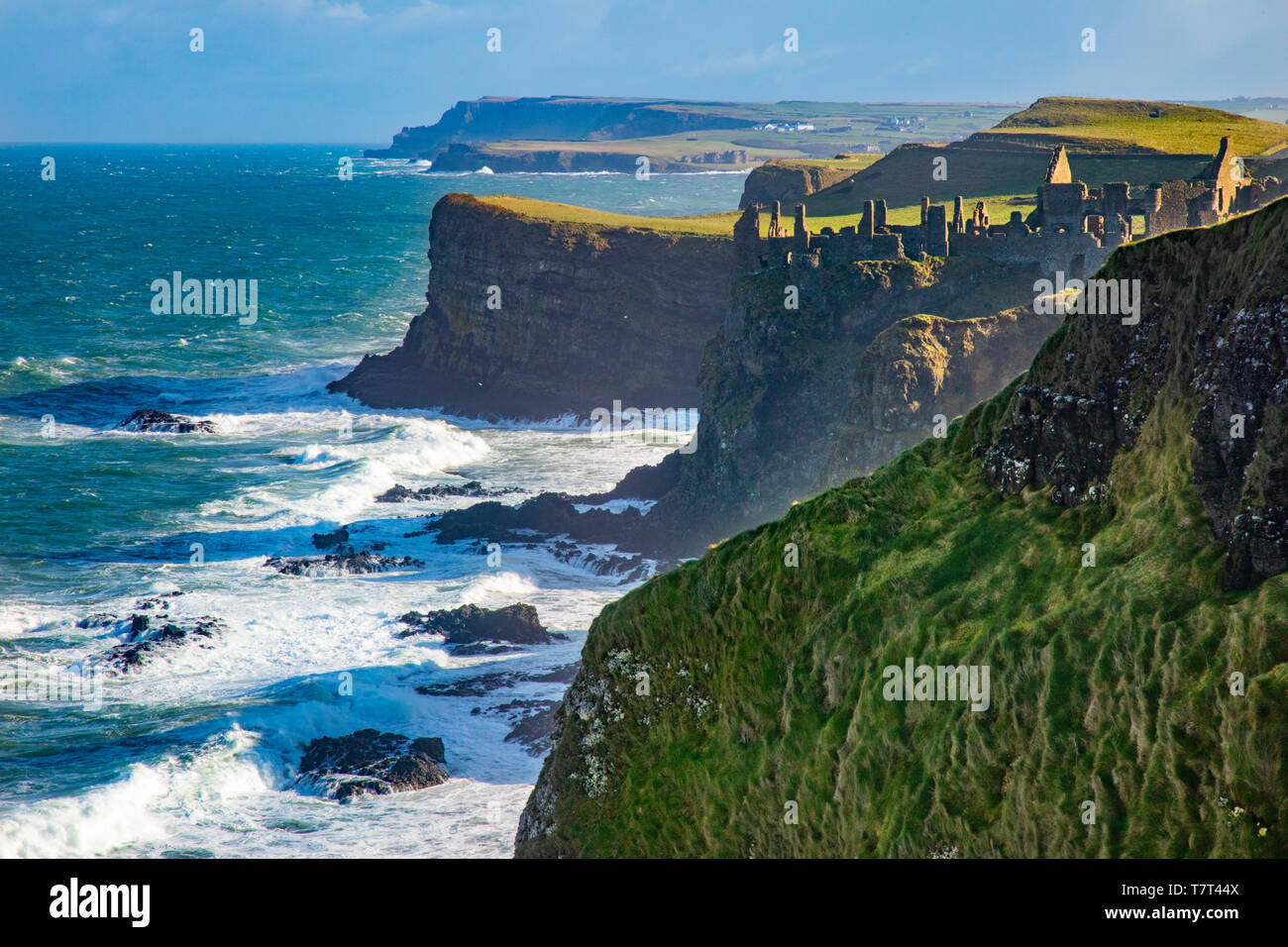 Dunlace hi-res stock photography and images - Alamy