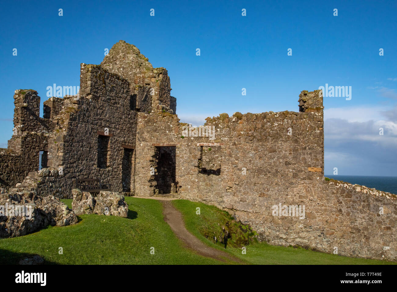 Dunlace hi-res stock photography and images - Alamy