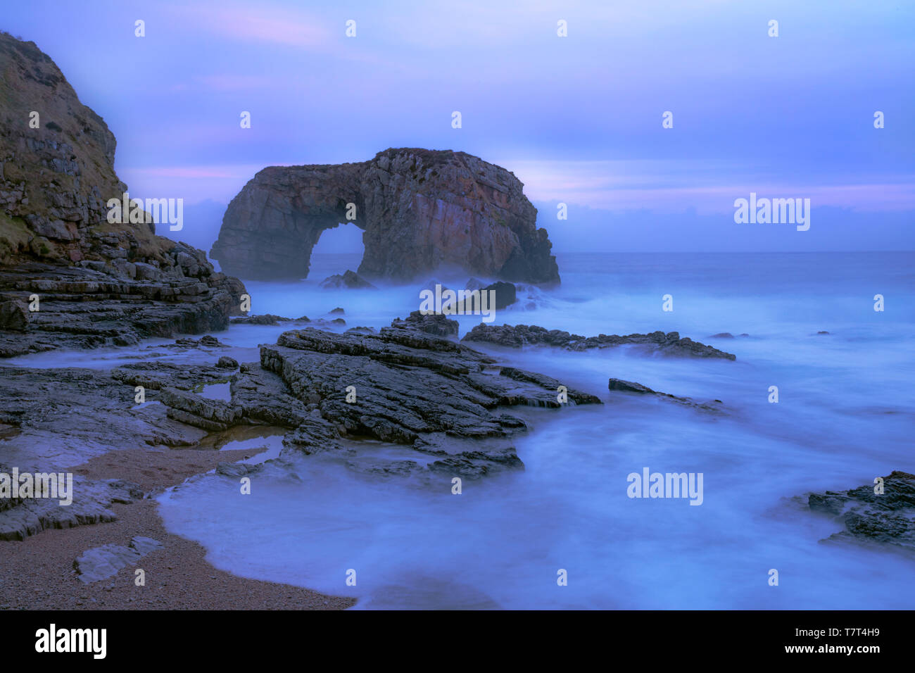 Pollet hi-res stock photography and images - Alamy