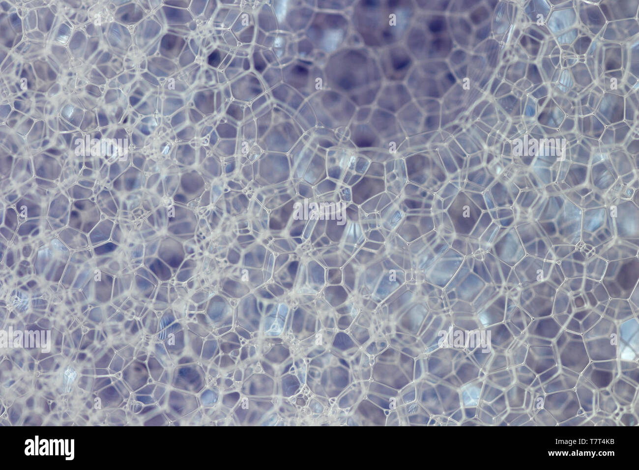 Bubbles and foam from soap suds. Extreme close up Stock Photo - Alamy