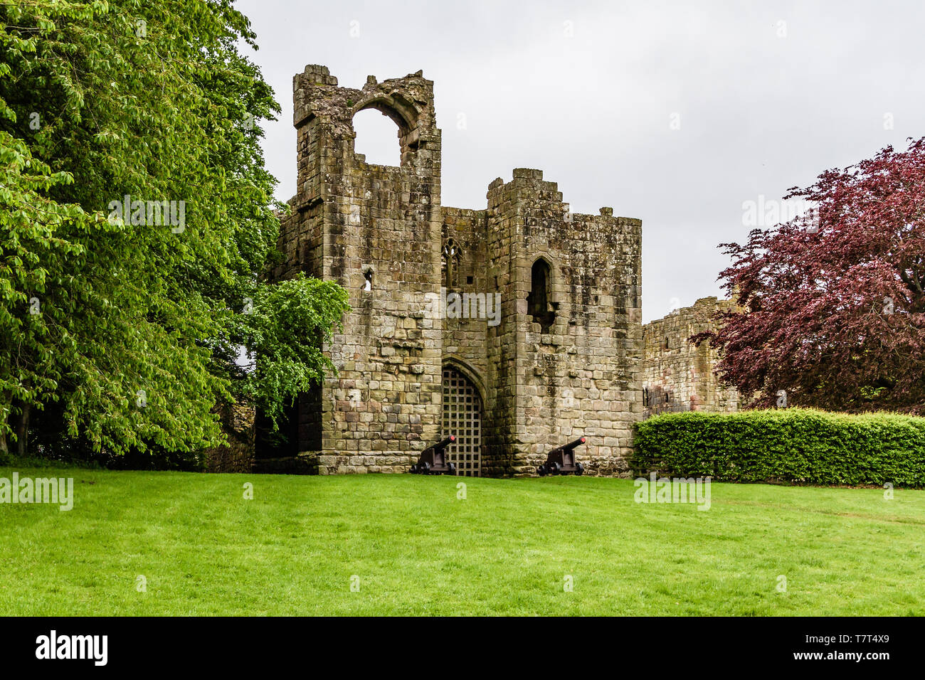 étal hi-res stock photography and images - Alamy