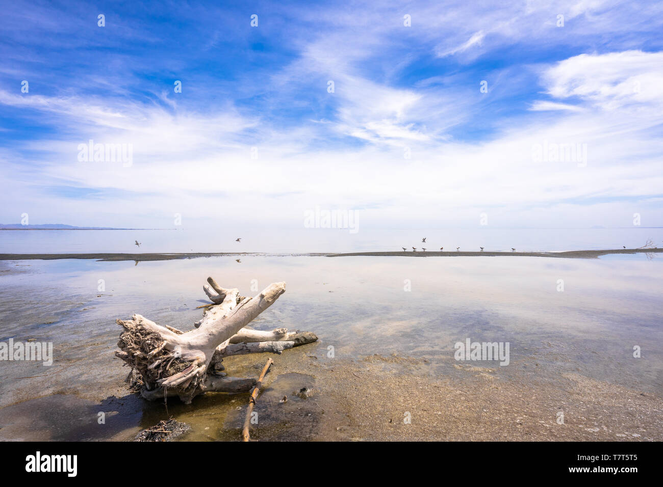 Salton Sea Beach High Resolution Stock Photography and Images - Alamy