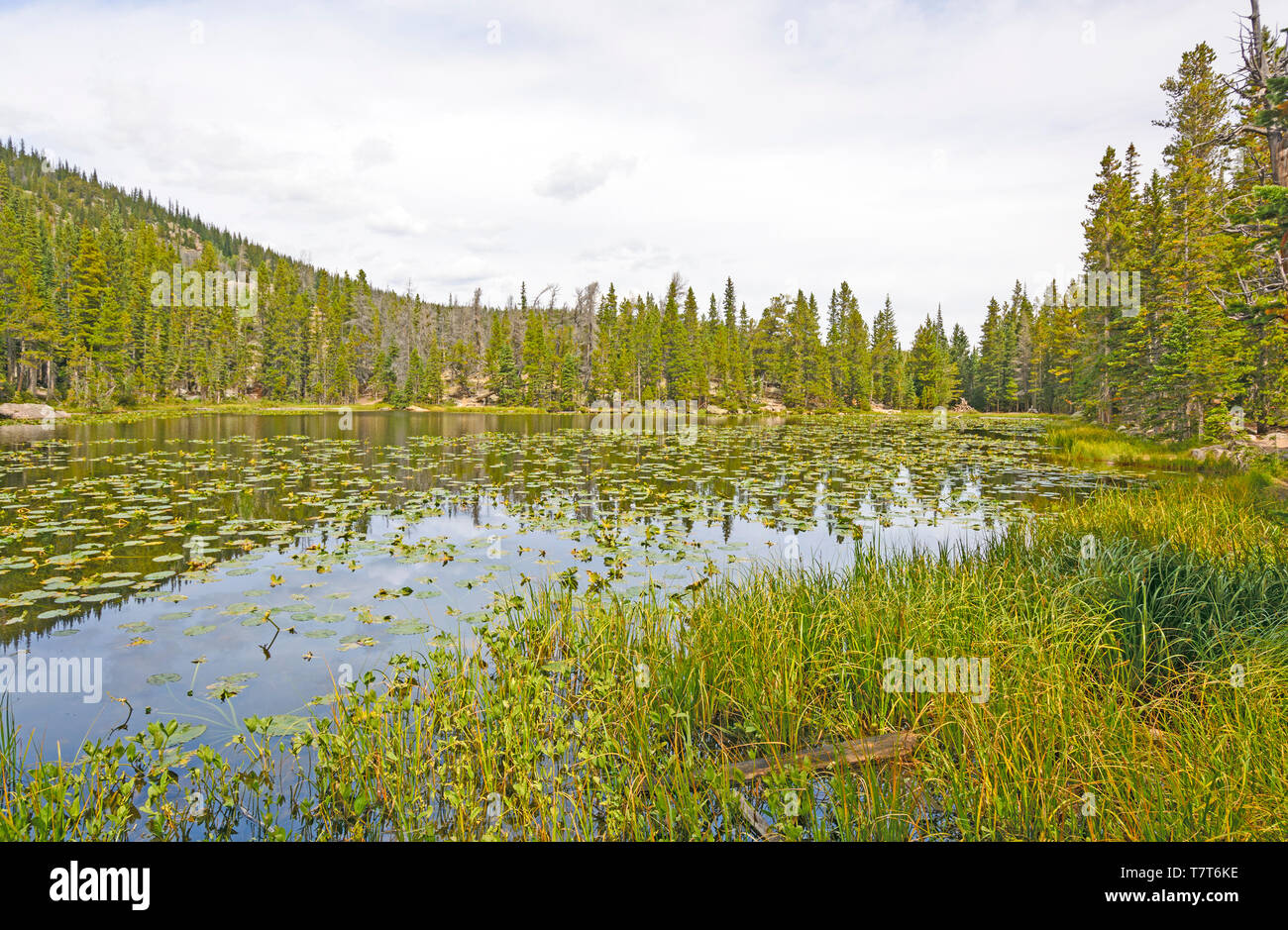 Nymph lake hi-res stock photography and images - Alamy