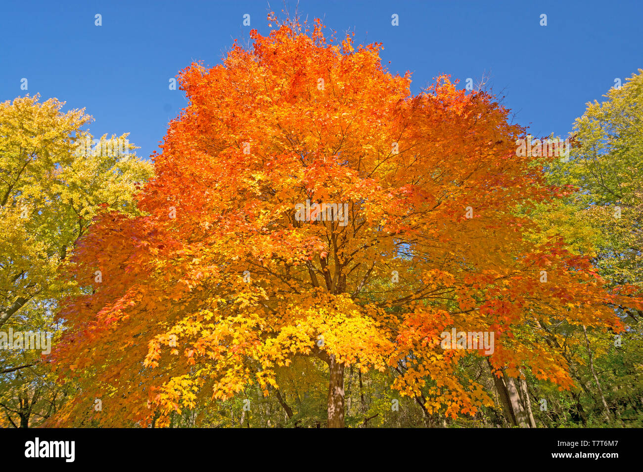 Iowa Autumn Wallpapers