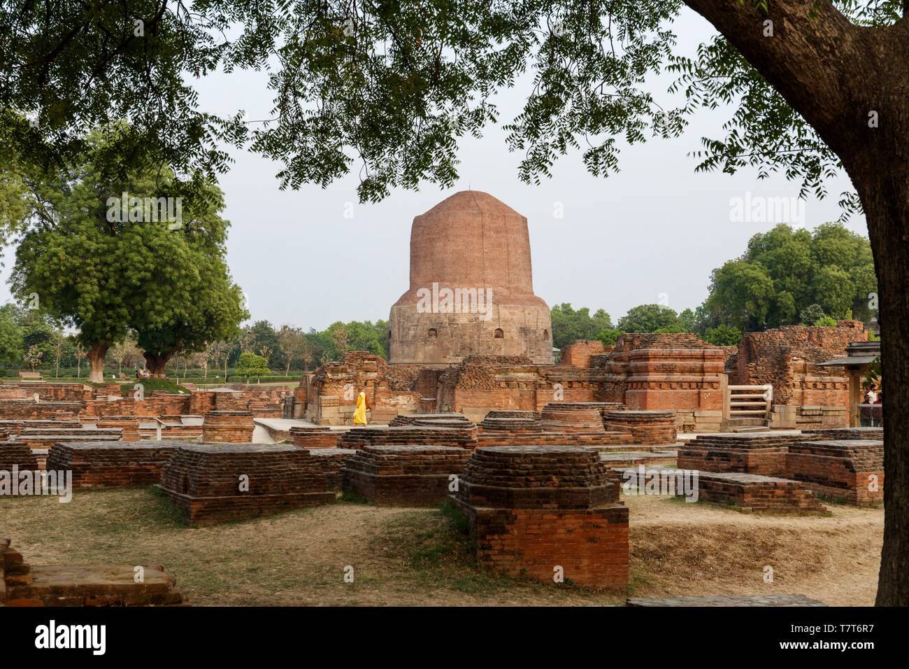 India, Uttar Pradesh, Sarnath, archeological site, Damekh Stupa and ...