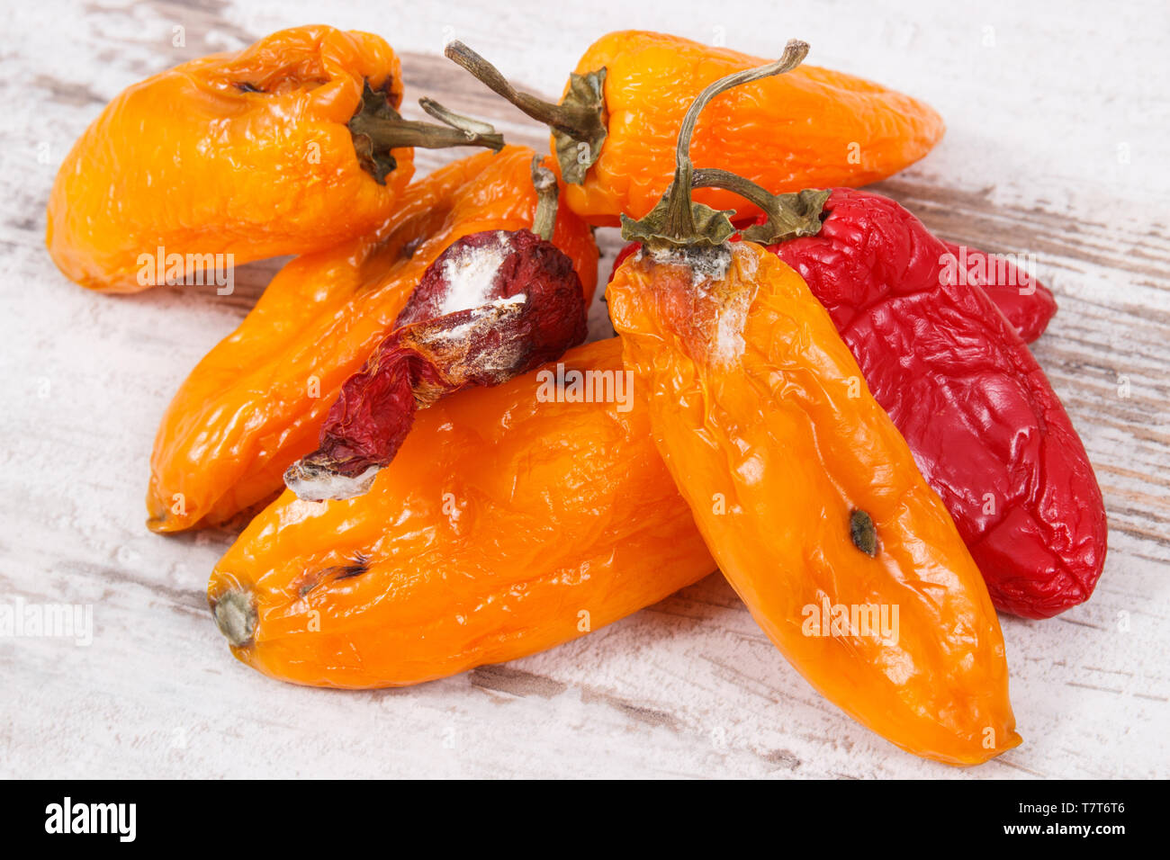 Old wrinkled peppers with mold on old rustic background. Concept of ...