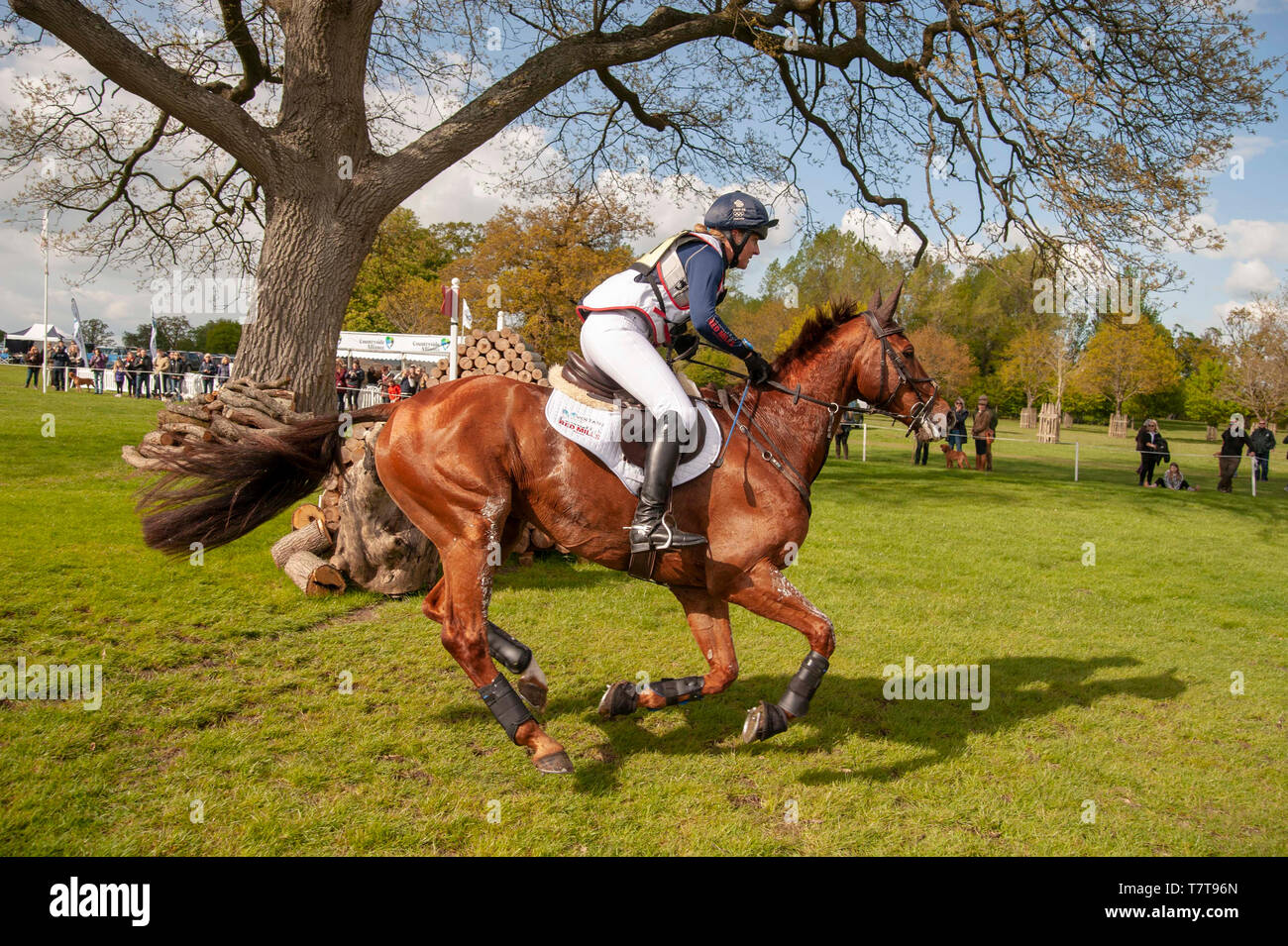 Tina cook equestrian hi-res stock photography and images - Alamy