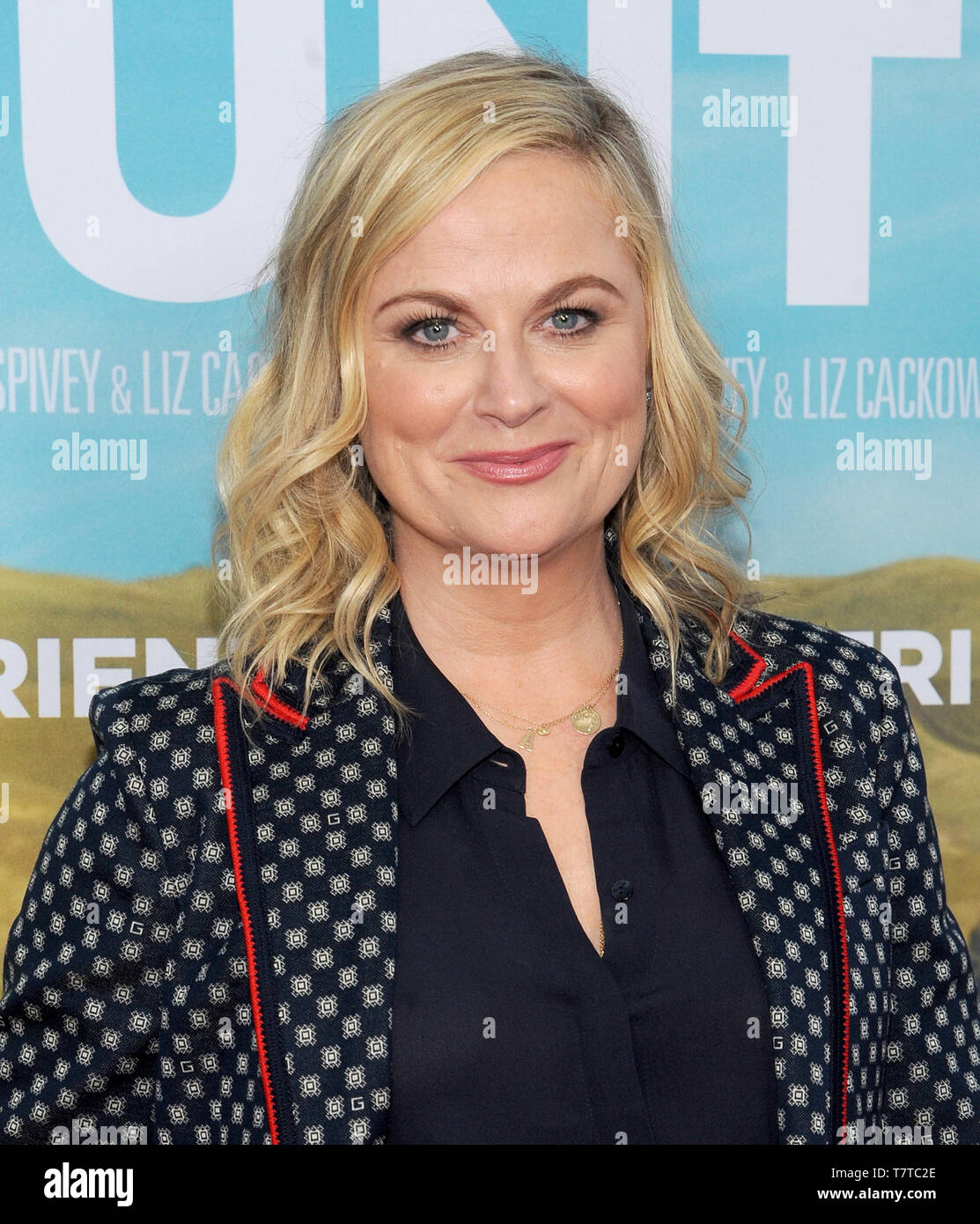 Amy poehler 2019 hi-res stock photography and images - Alamy
