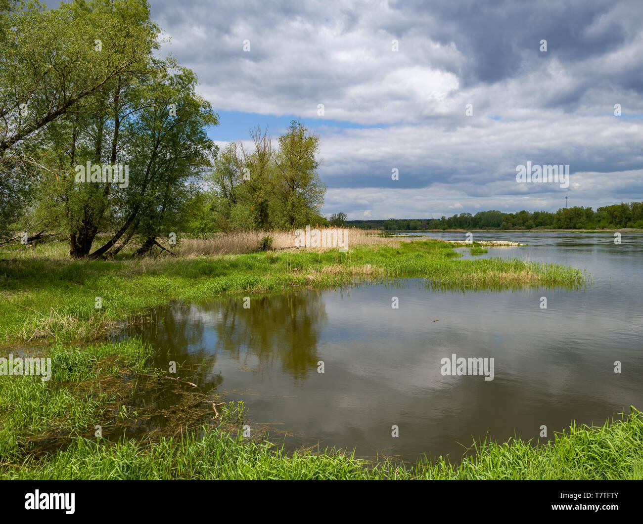 Lowlands 2019 hi-res stock photography and images - Alamy