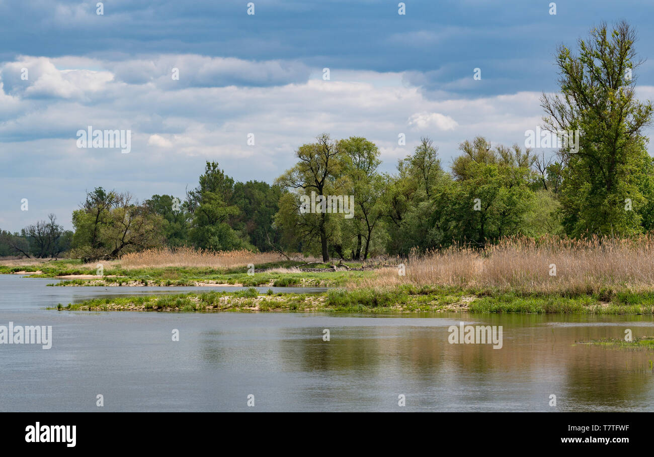 Lowlands 2019 hi-res stock photography and images - Alamy