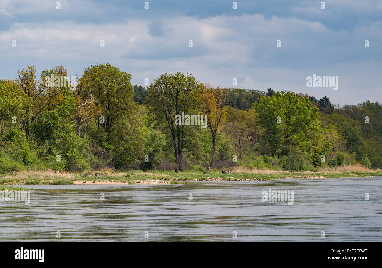 Lowlands 2019 hi-res stock photography and images - Alamy