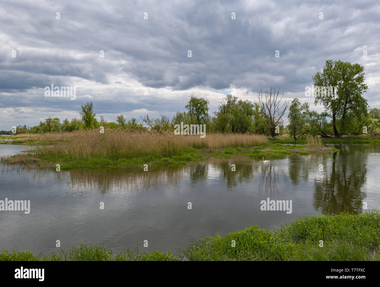 Lowlands 2019 hi-res stock photography and images - Alamy