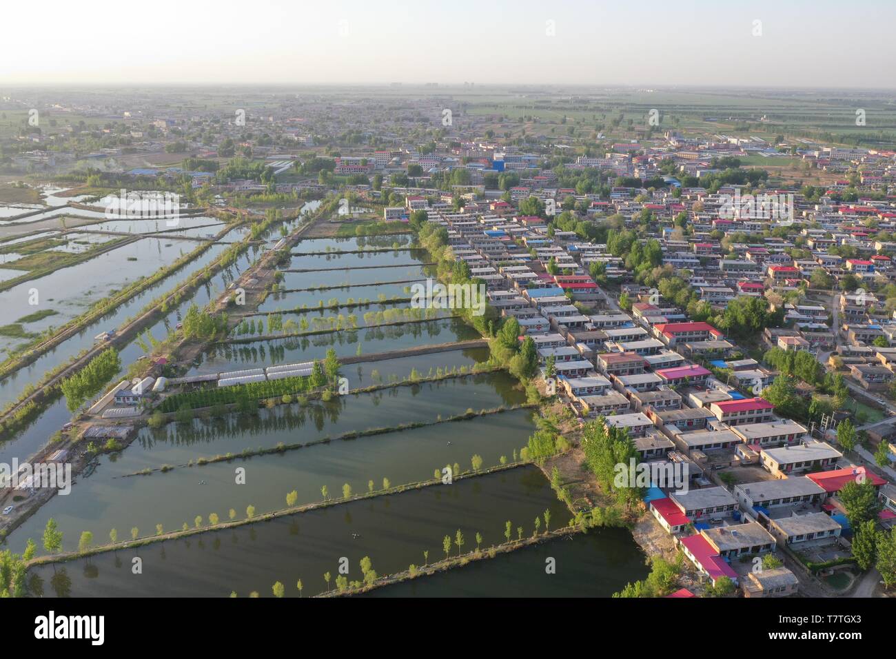 Baiyangdian hi-res stock photography and images - Alamy