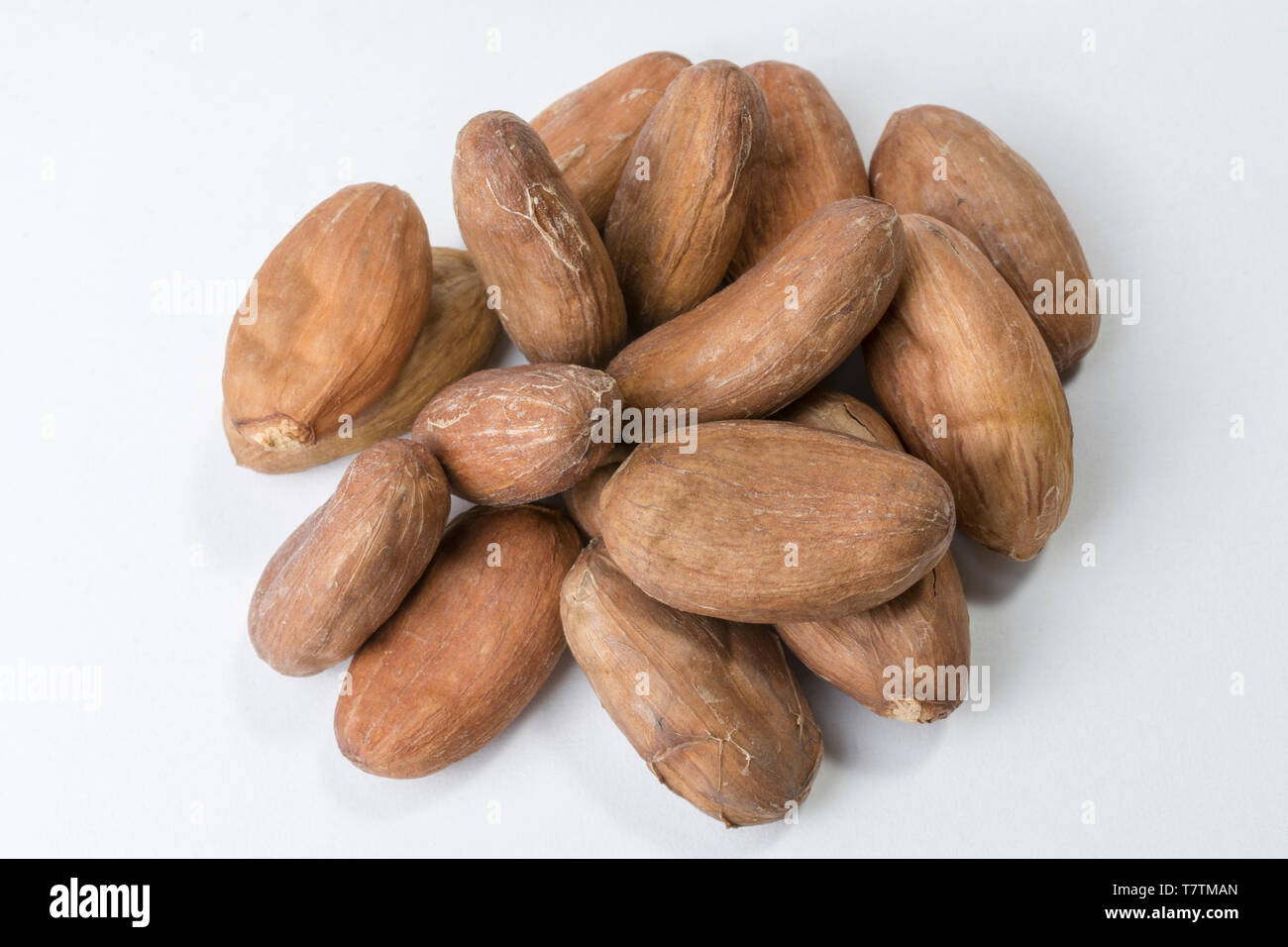Whole cacao beans hi-res stock photography and images - Alamy