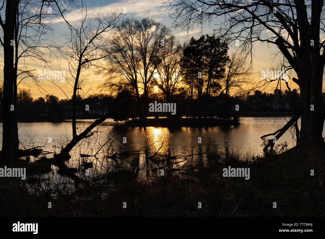 Sunset on a Pond behind trees Stock Photo - Alamy