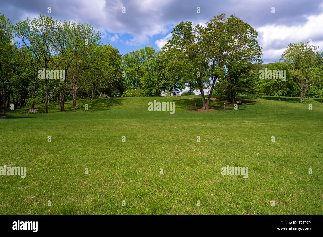 Wide angle photo of green grass and trees on a hill of Meadowlark ...