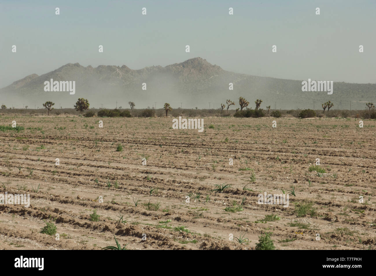 Drought california agriculture hi-res stock photography and images - Alamy