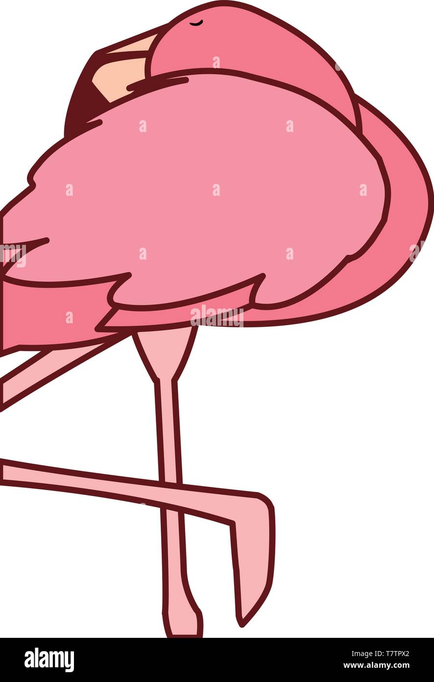 exotic pink flemish bird sleeping vector illustration design Stock ...