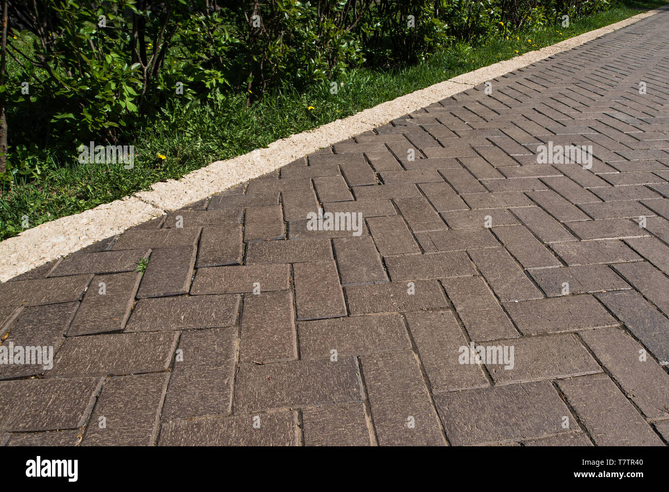 Texture of road tiles with herringbone pattern. Perspective view Stock ...