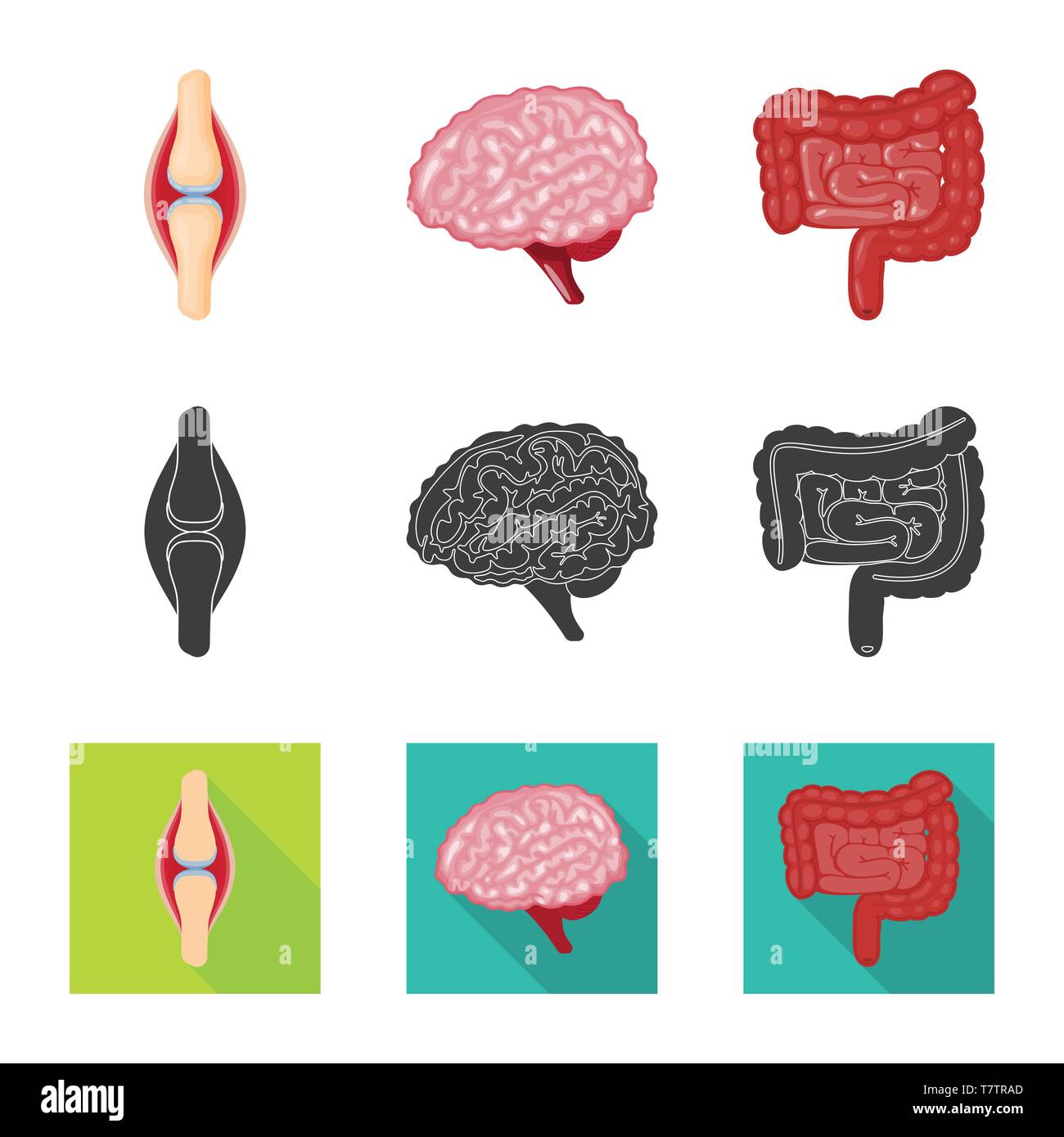 Isolated object of biology and scientific symbol. Set of biology and ...
