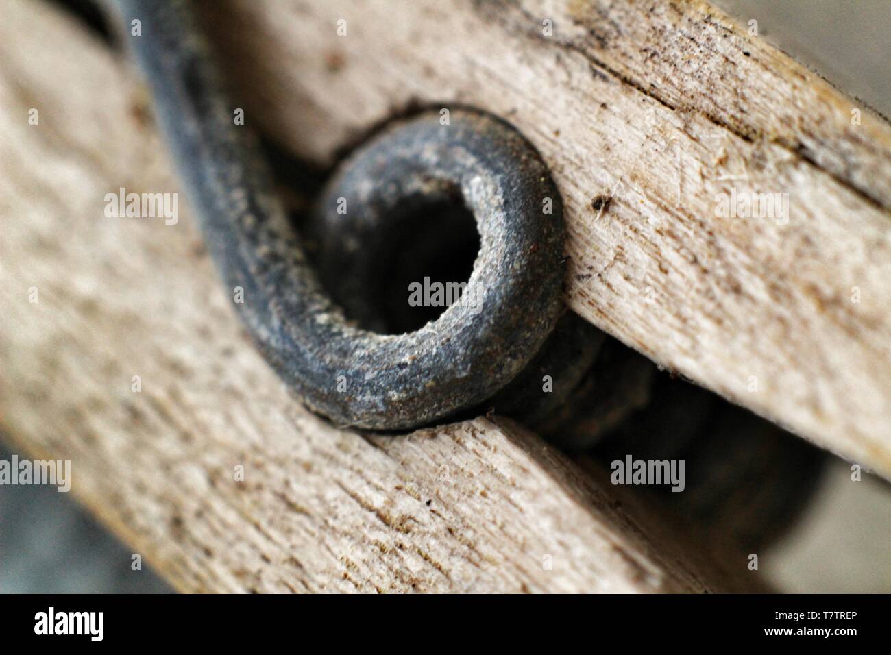 Macro Photography of old wooden clamp Stock Photo - Alamy