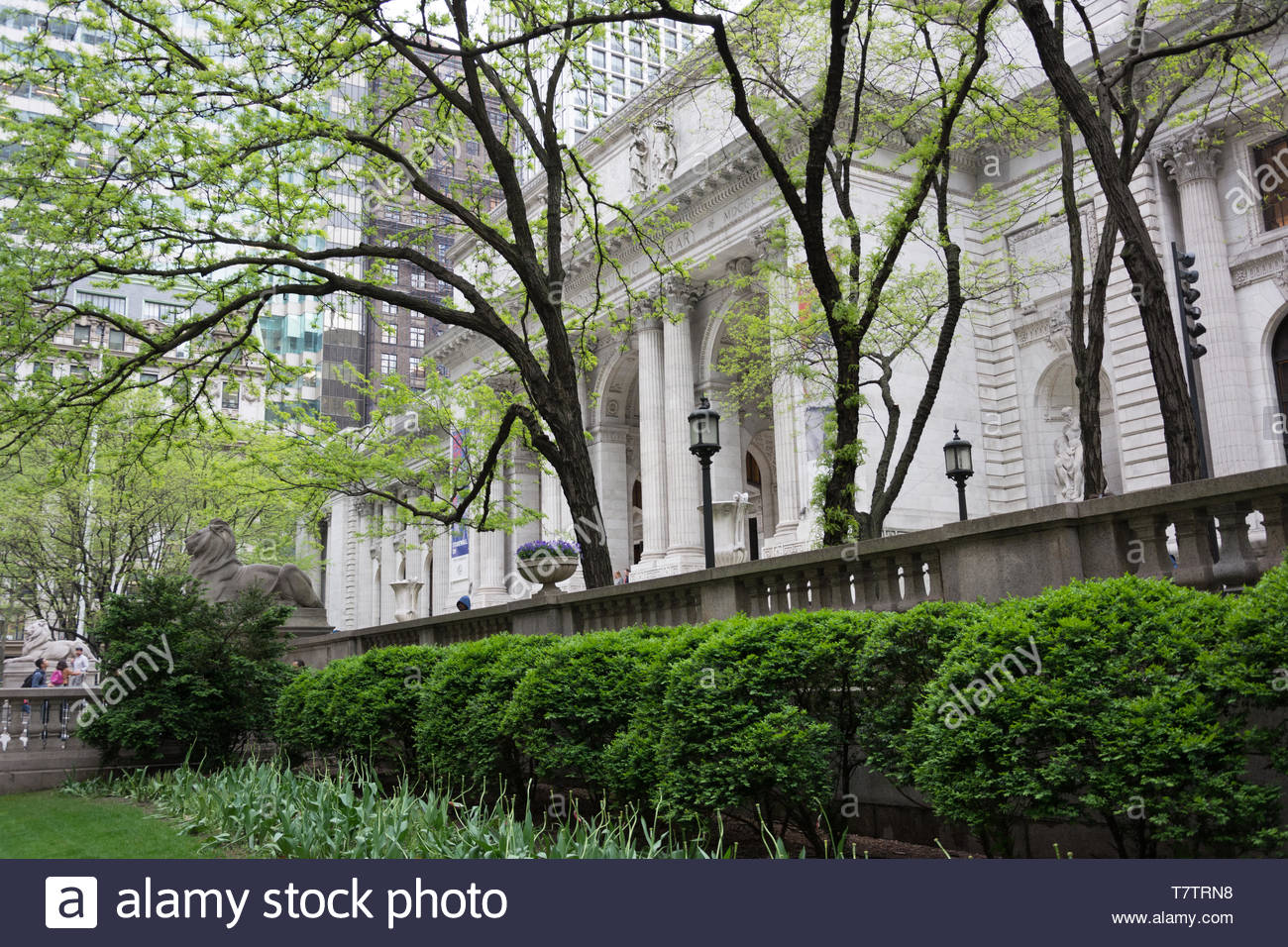 New York Public Library Exterior High Resolution Stock Photography and ...
