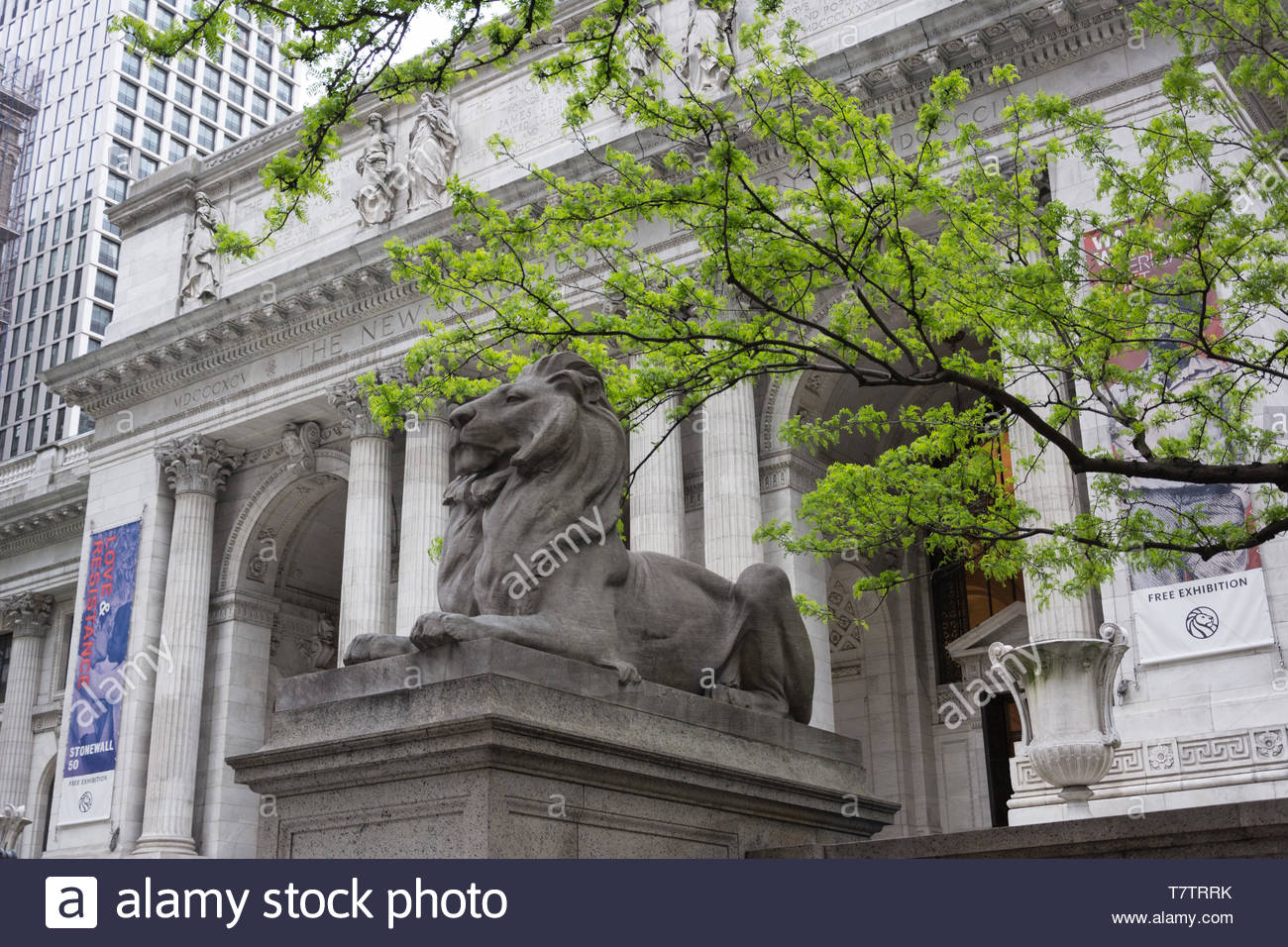 New York Public Library Exterior High Resolution Stock Photography and ...