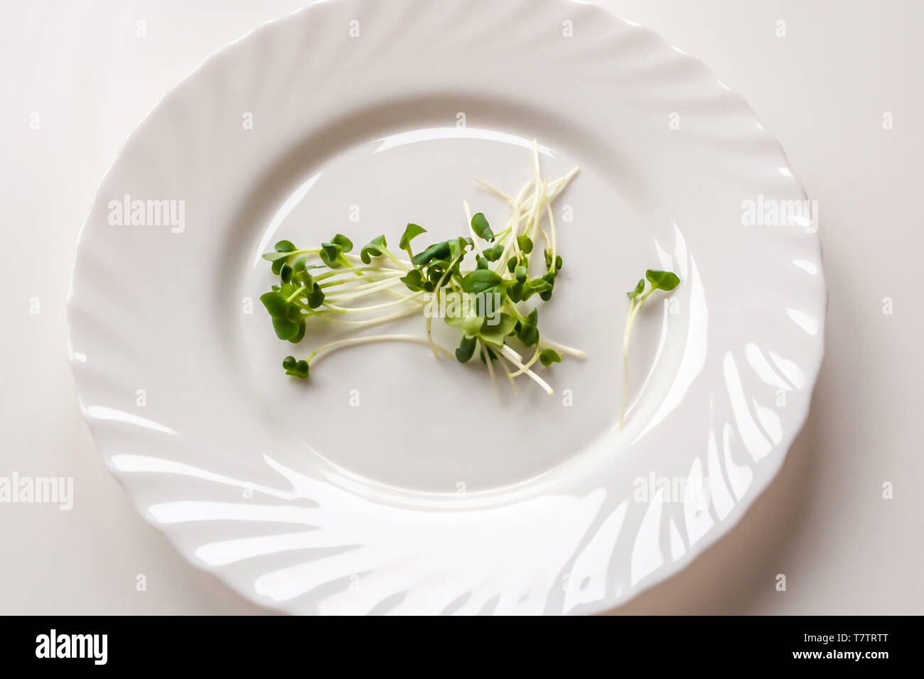 Japanese radish sprout hi-res stock photography and images - Alamy